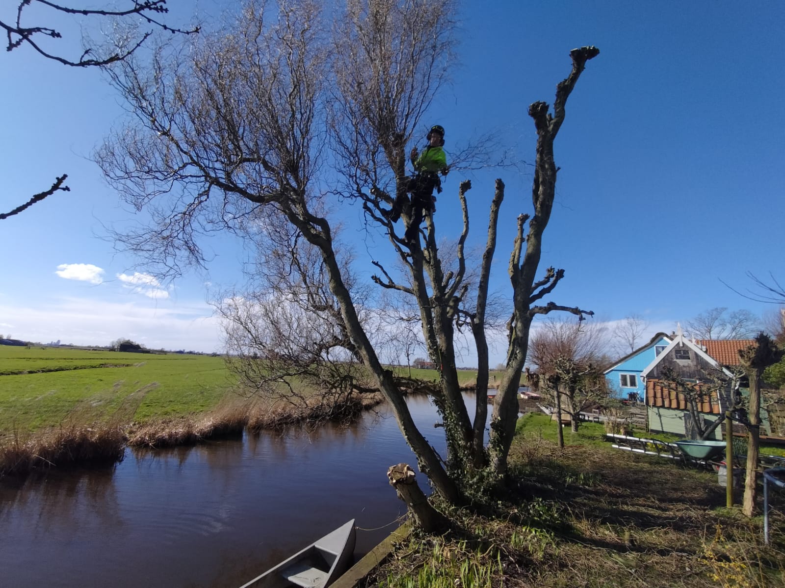 Knotten of kandelaberen